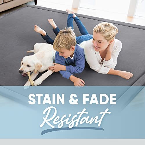 Memory Foam Area Rug for Living Room, Microfiber Rug with 3'x5' Dark ...