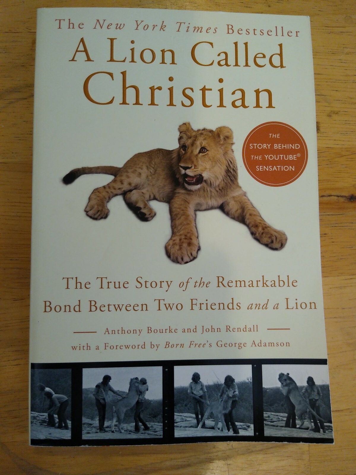 A Lion Called Christian : The True Story of the Remarkable Bond Between ...