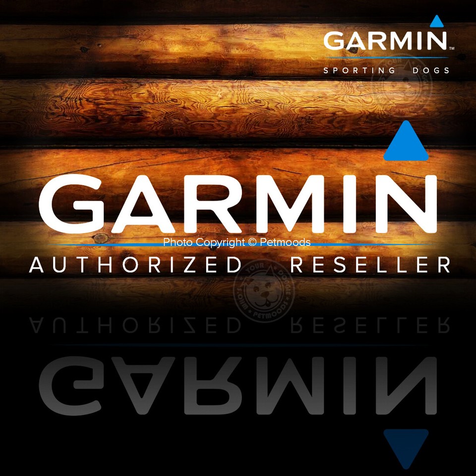 Garmin Alpha TT25 Dog Device GPS Tracking Training Collar, and ...