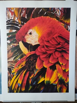 s/n SIGNED large Macaw Parrot by Pam Mark 56/350 24x32 | eBay