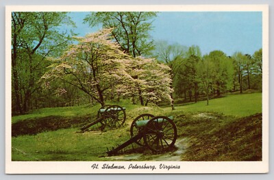 Postcard Cannons Fort Stedman Petersburg Virginia | eBay