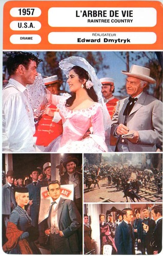 CARTE / CARD / FICHE : L'ARBRE DE VIE - M.Clift,E.Taylor,E.Marie Saint ...