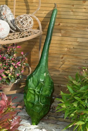 20 Caveman's Club Dinosaur Gourd Seeds - Maranka Squash - Heiroloom ...