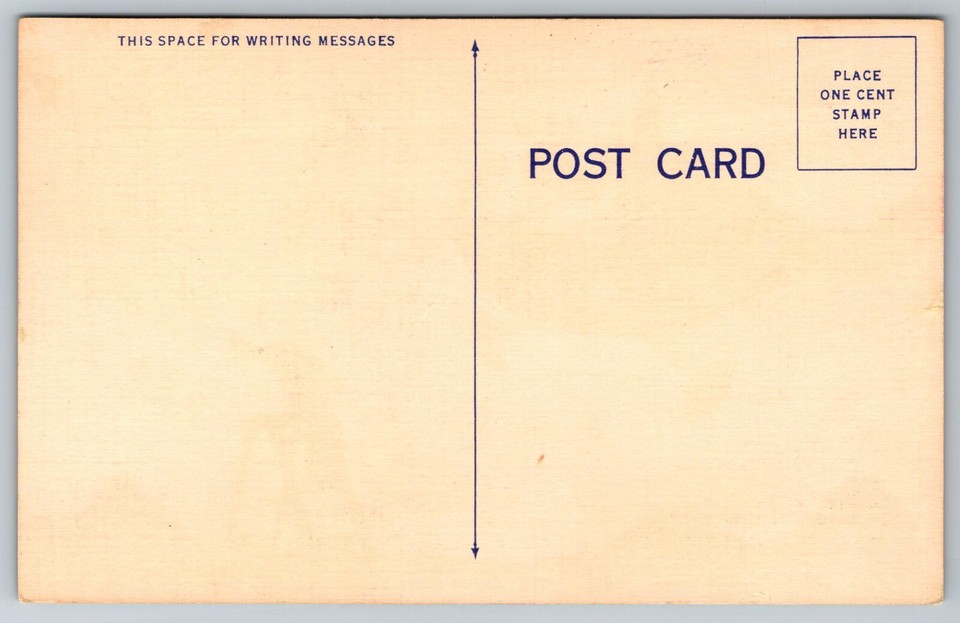 Helicopter, Man Hitching a Ride, Humor, Vintage Postcard | eBay