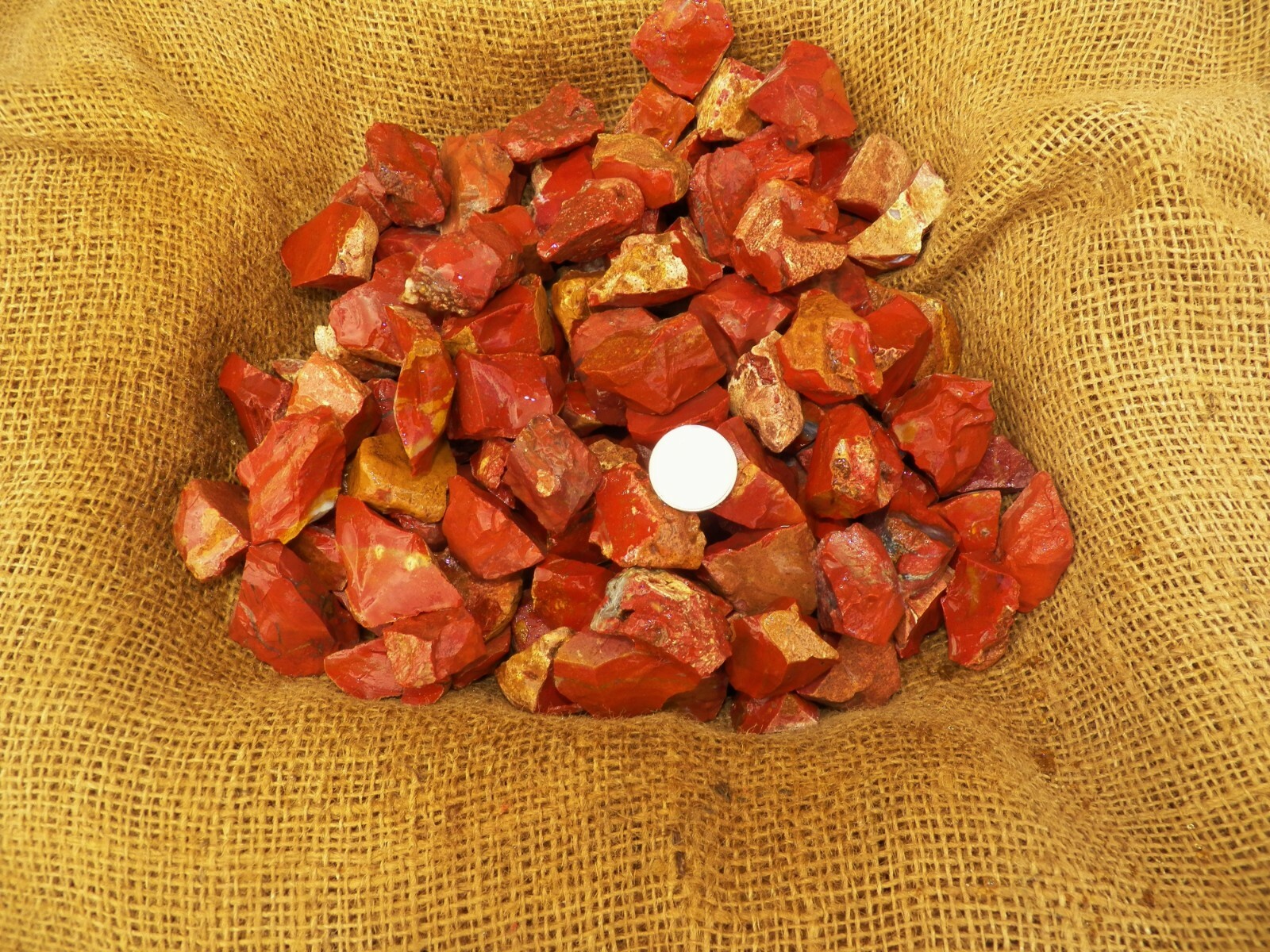 2000 Carat Lots of Chestnut Jasper Rough - Plus a FREE Faceted Gemstone ...