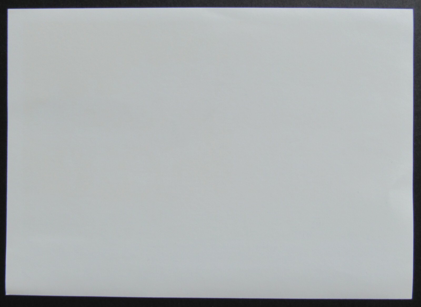 1970s WHA Cleveland Crusaders Team Issued Photo 5x7 Gerry Cheevers ...