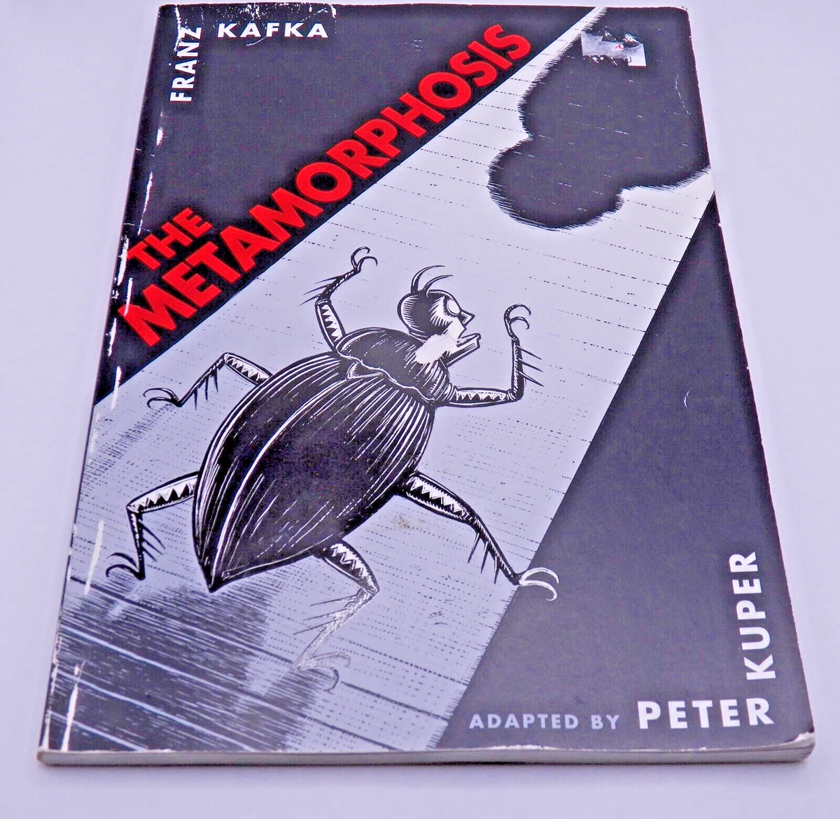 Kafka Metamorphosis Insect Illustration
