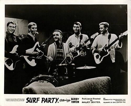 The Astronauts Surf Band