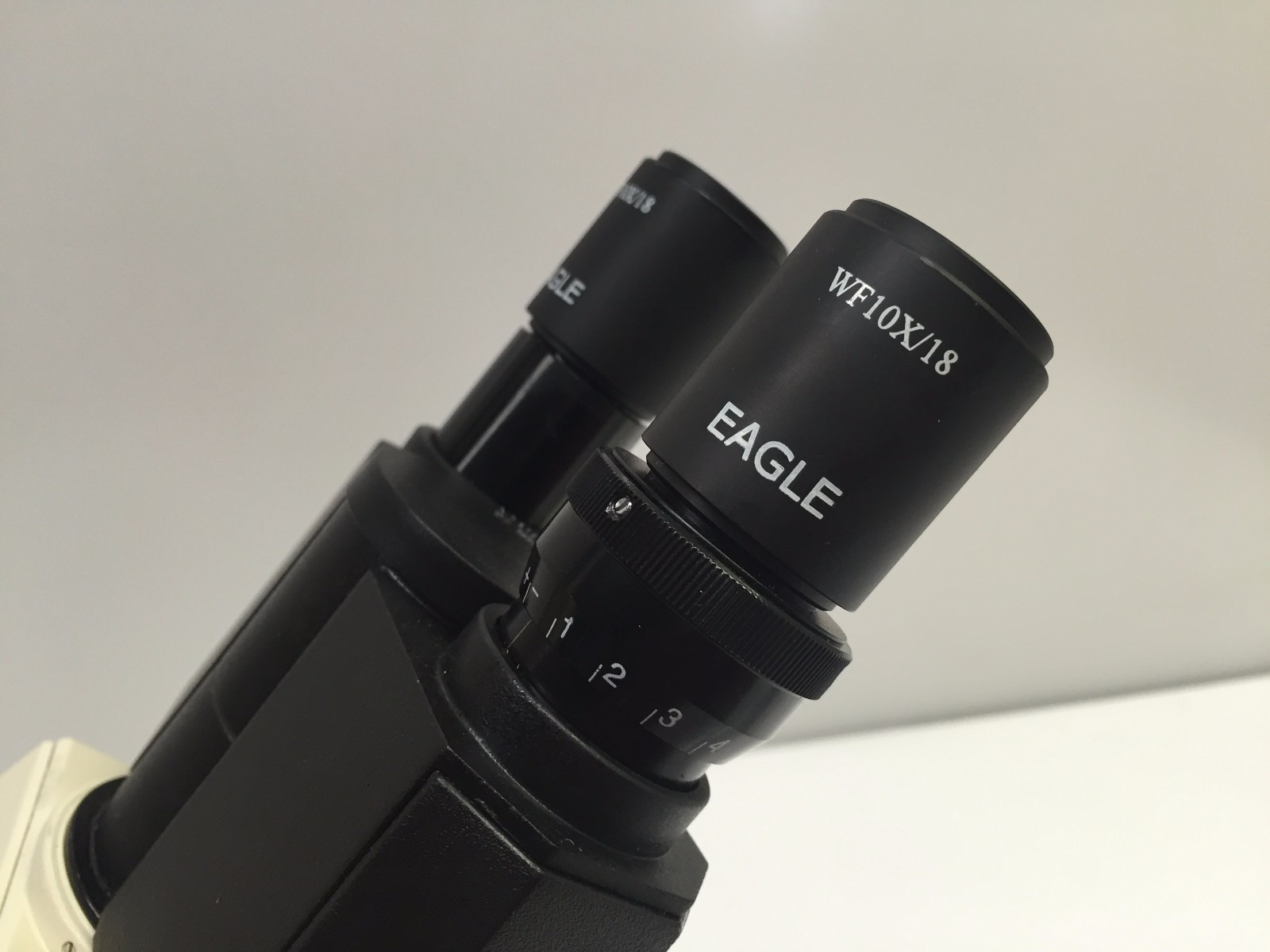 Eagle Microscopes CMP240 W/ Light Source | eBay