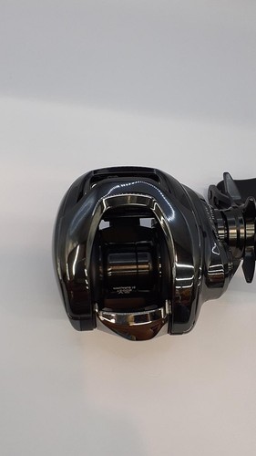 Daiwa 24 Steez Sv Tw 100H Bait Reel | eBay