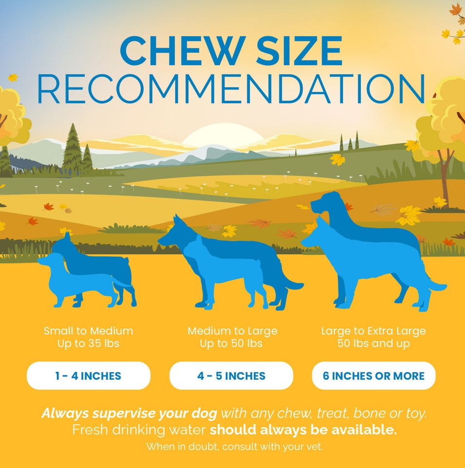 Beef Cheek Roll Chews for Dogs 5-6" All Natural Long Lasting Chews (10 ...