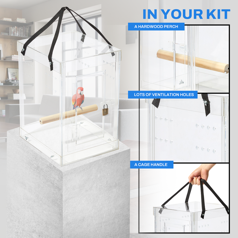 PENNZONI Medium Acrylic Carrier, Large Bird Carrier, Acrylic Bird ...