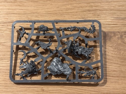 Warhammer Age of Sigmar Gloomspite Gitz Fungoid Cave-Shaman Neu im ...