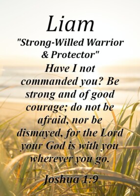 Liam "Strong-Willed Warrior & Protector" Keepsake Name Meaning Card ...