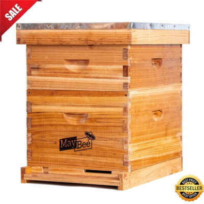 Bee Hive 10 Frame Bee Hives Honey Bee Hives Beekeeping Includes 1 Deep ...