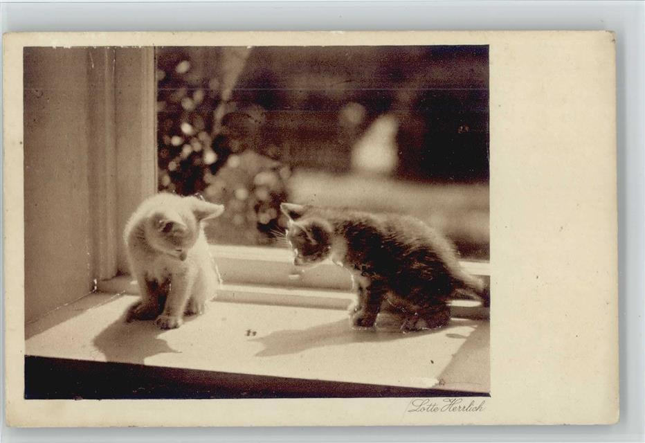 12004515 - Lotte Herrlich Serie 31 - 1931 AK Herrlich, Lotte | eBay