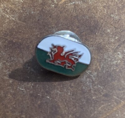 Vintage Welsh Dragon Cymru Enamel travel Lapel Pin | eBay