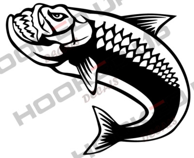 Angry Tarpon Vinyl Transfer Decal | eBay