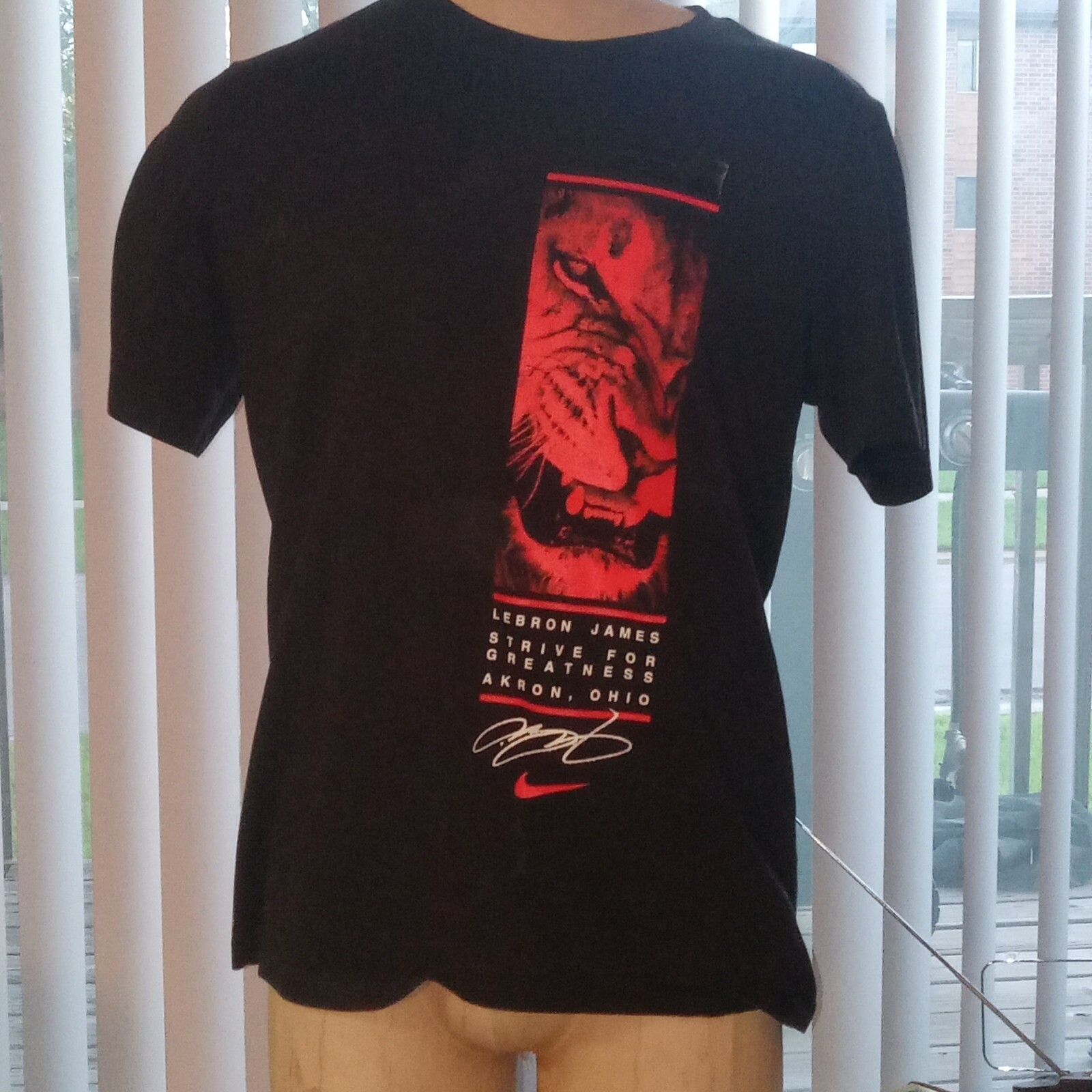 Rare Nike Lebron James Lion King "Strive For Greatnes… - Gem