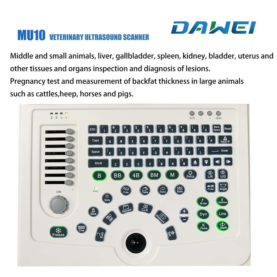 DAWEI Laptop Vet Ultrasound Machine Scanner Convex For Horse,Cow,Large ...