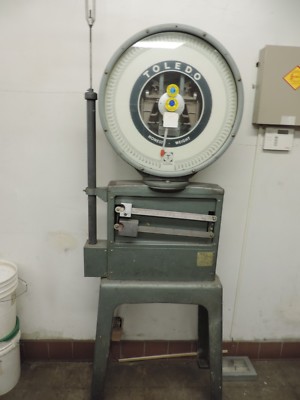 Scales - Toledo Scale