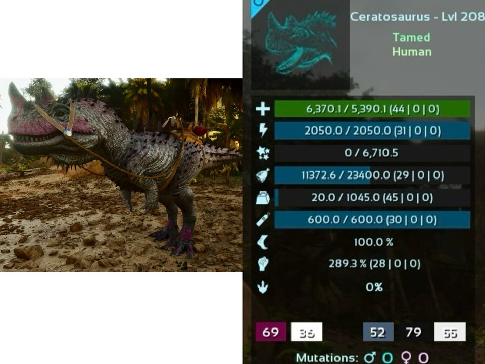 ark survival ascended pve High Level Ceratosaurus | eBay