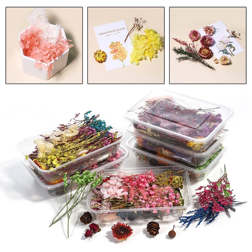 DIY Resin Crafts Mixed Dried Flower Box for Candle Greeting Cards Decor ...