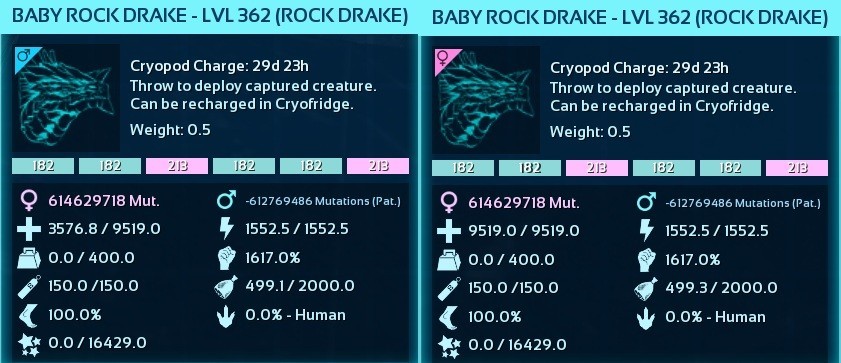 ARK Survival Ascended PvE ROCK DRAKE TRUE COTTON TOP 1617 MD PC/XBOX ...