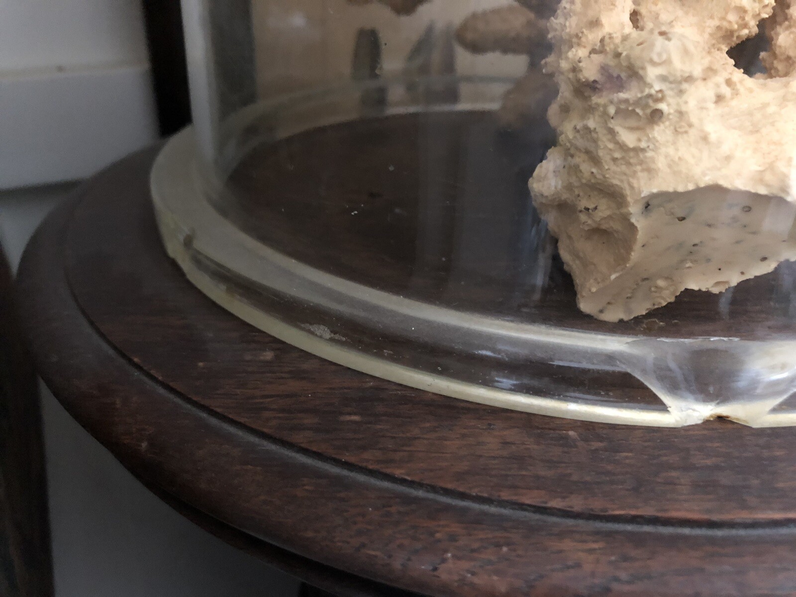 Vintage Rare Tall 17 Inch Pyrex Glass Bell Jar Apothecary Dome Cloche ...