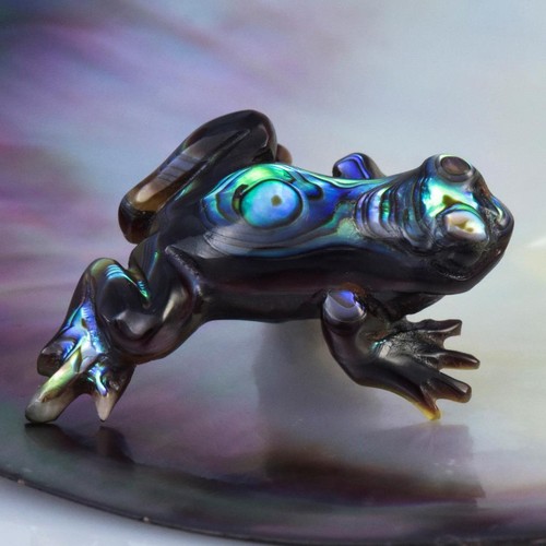 Curare Poison Arrow Frog Paua Abalone Black Mother-of-Pearl Shell ...