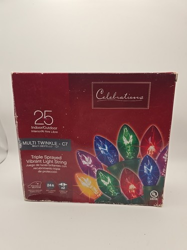 Celebrations Multicolor Transparent Vibrant Color Christmas Light ...