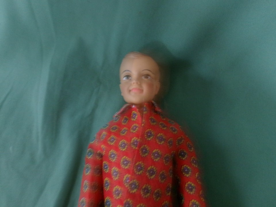 Toys - Ideal Tammy Brother Ted B12-1/2-WZ - Fair Condition | eBay