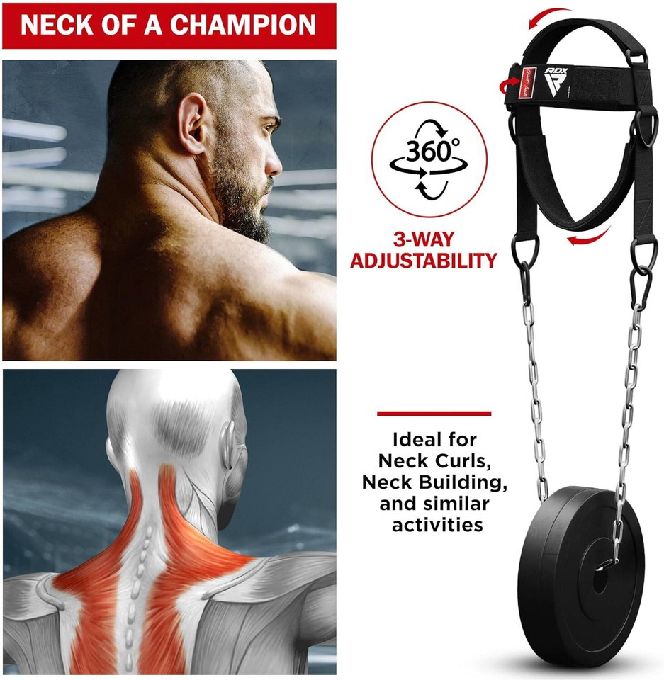 RDX Neck Harness Weight Lifting Training, Head Harness Exerciser, Gym ...