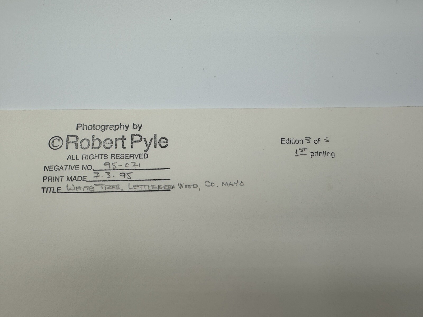 Robert Pyle (American b. 1938) "White Tree, Letterkeen Wood" Echoes of ...