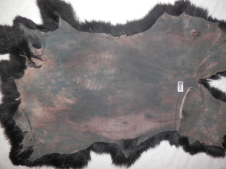 8"x13" BLACK Rabbit Skin Hide Pelt Craft #066 | eBay