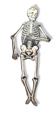 Vintage Halloween 15" Jointed Skeleton Original Beistle 1950s ...