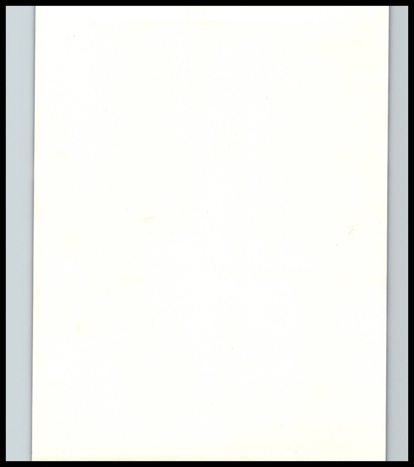 Hollywood Beauty BARBARA LANG LEGGY CHEESECAKE 1950s PORTRAIT Photo 705 ...