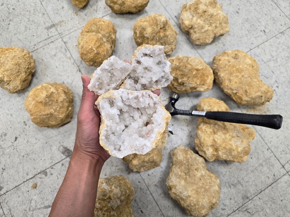 JUMBO Geode Break Your Own Unopened Quartz with Sparkly Quartz Inside ...