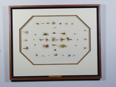 Flies - Fly Display