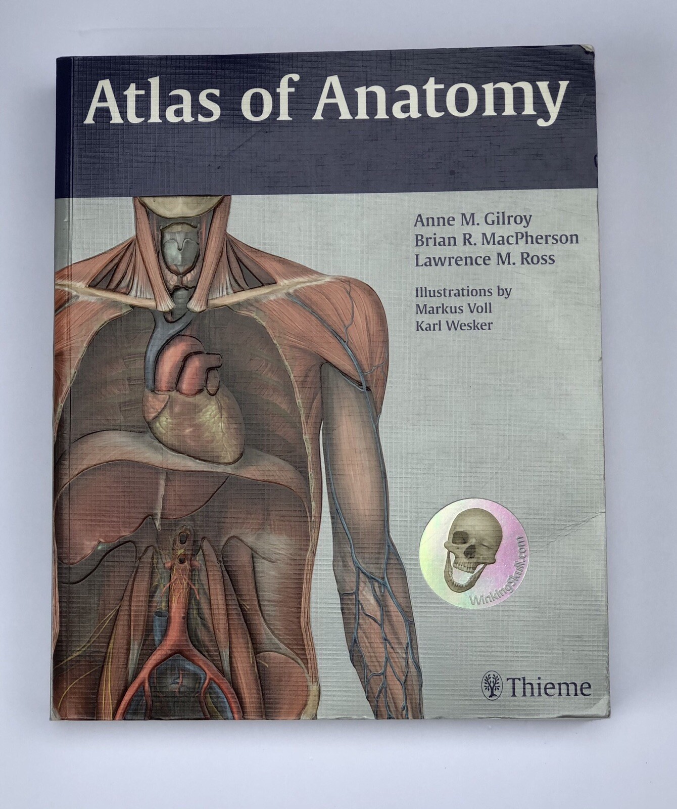 Thieme Anatomy Ser.: Atlas of Anatomy by Brian R. MacPherson, Erik ...