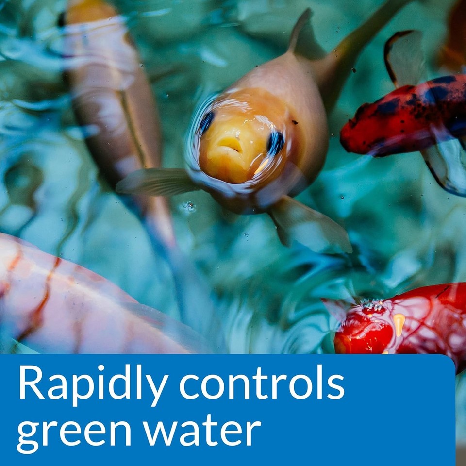 API POND ALGAE CURE Control Solution, Safe For Pets When Used As ...