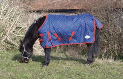 Dottie Torrent Turnout rug, No Fill, 4ft lightweight outdoor horse rug ...