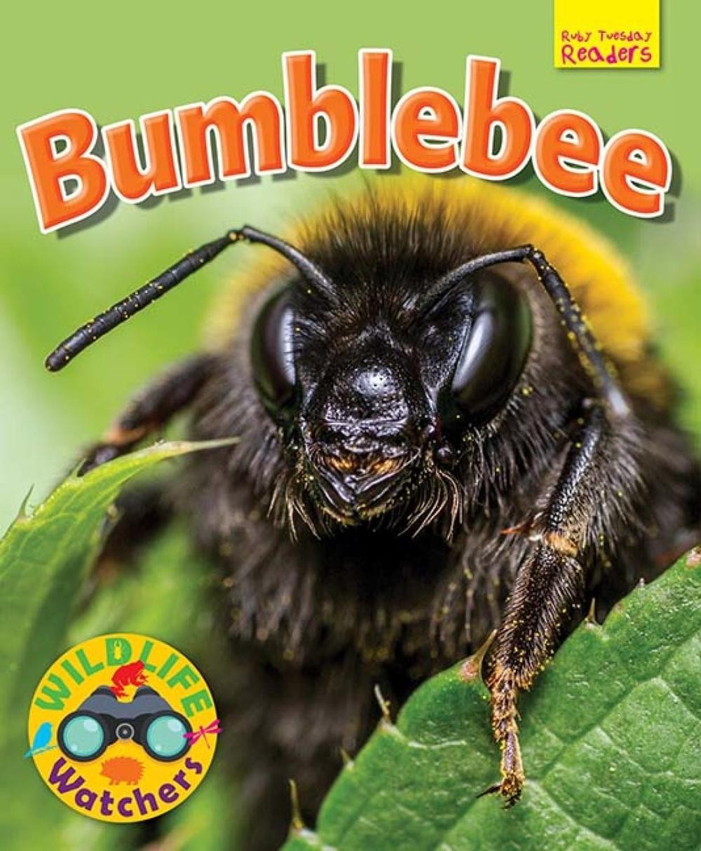 Wildlife Watchers: Bumblebee by Ruth Owen Paperback Book | eBay Australia