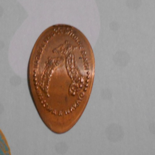 Natural Bridge Wildlife Ranch elongated penny Texas USA cent Giraffe ...