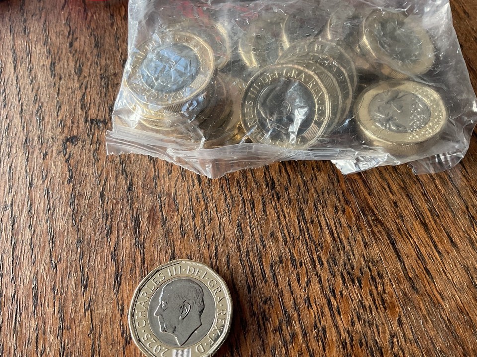 RARE LOW 170,000 MINTAGE 2025 KING CHARLES BEES £1 ONE POUND COIN from ...