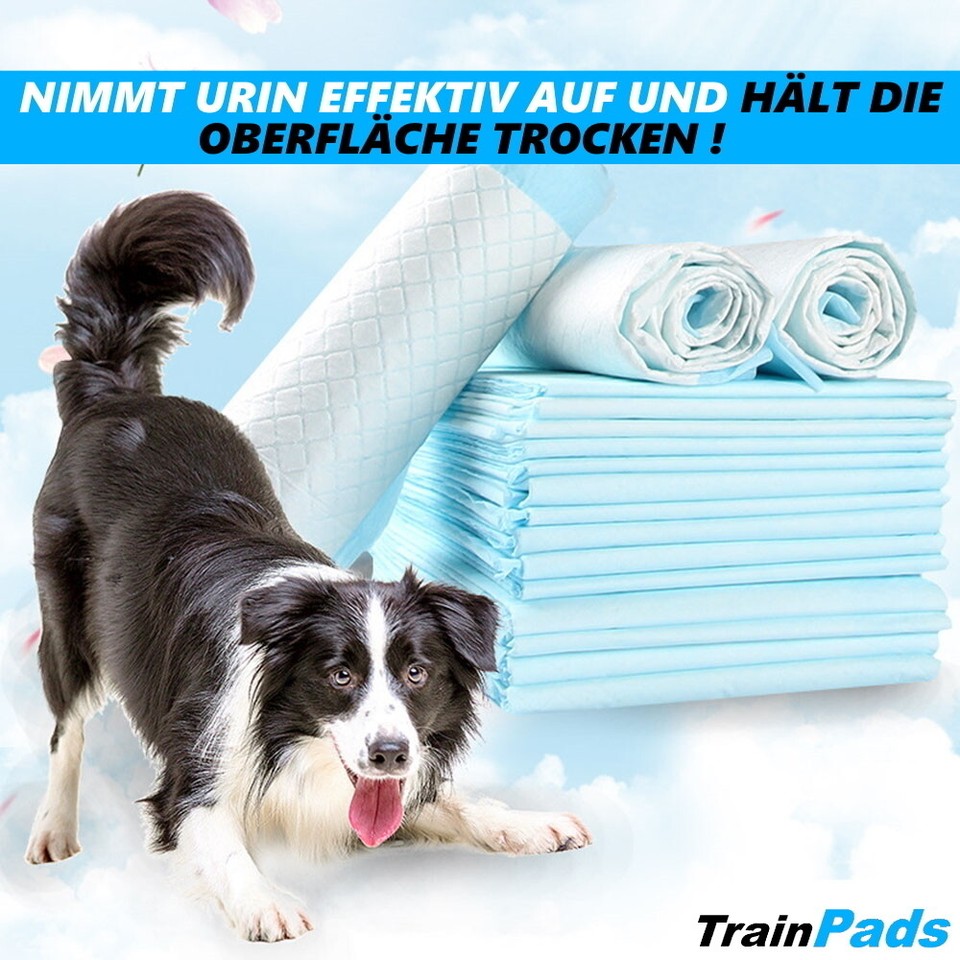 Train Pads XXL Puppy Training Pads Dogs Puppy Toilet 60X60Cm | eBay UK