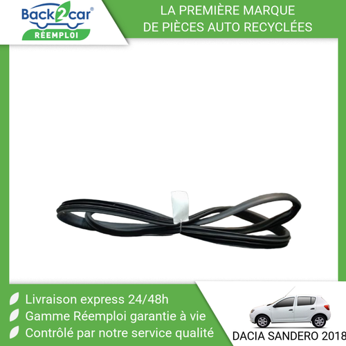 🏆 JOINT PORTE AVANT DROIT DACIA SANDERO 808321804R 🌱 3007549765169 | eBay