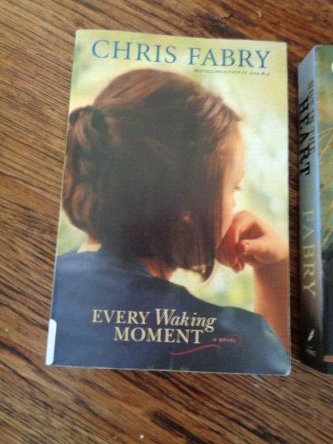 Lot 3 Chris Fabry Under Cloudless Sky Not in the Heart Every Waking Moment PB | eBay