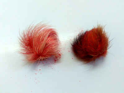 Ritual Wicca Pagan Jackal Horn Siyar Singhi | eBay