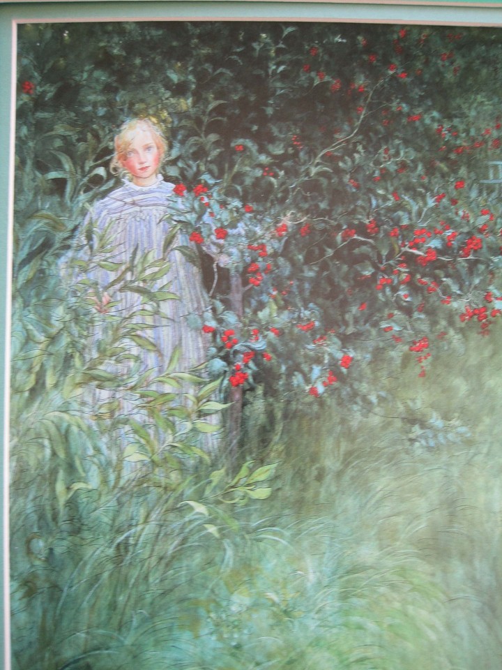 Carl Larsson, In the Hawthorne Hedge 12 x 16 , framed matted print | eBay